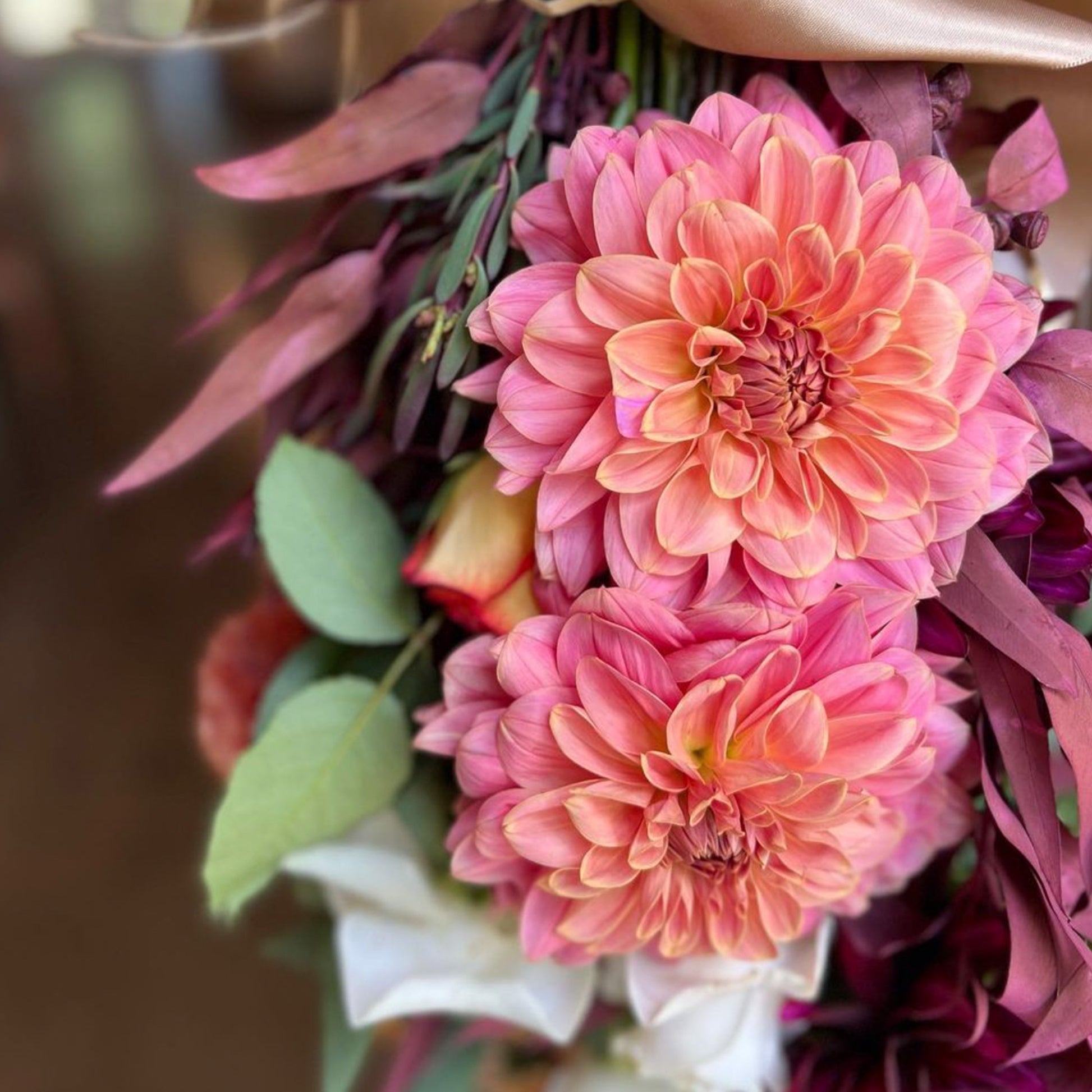 PRETTY CORAL – Navah Flower Farm